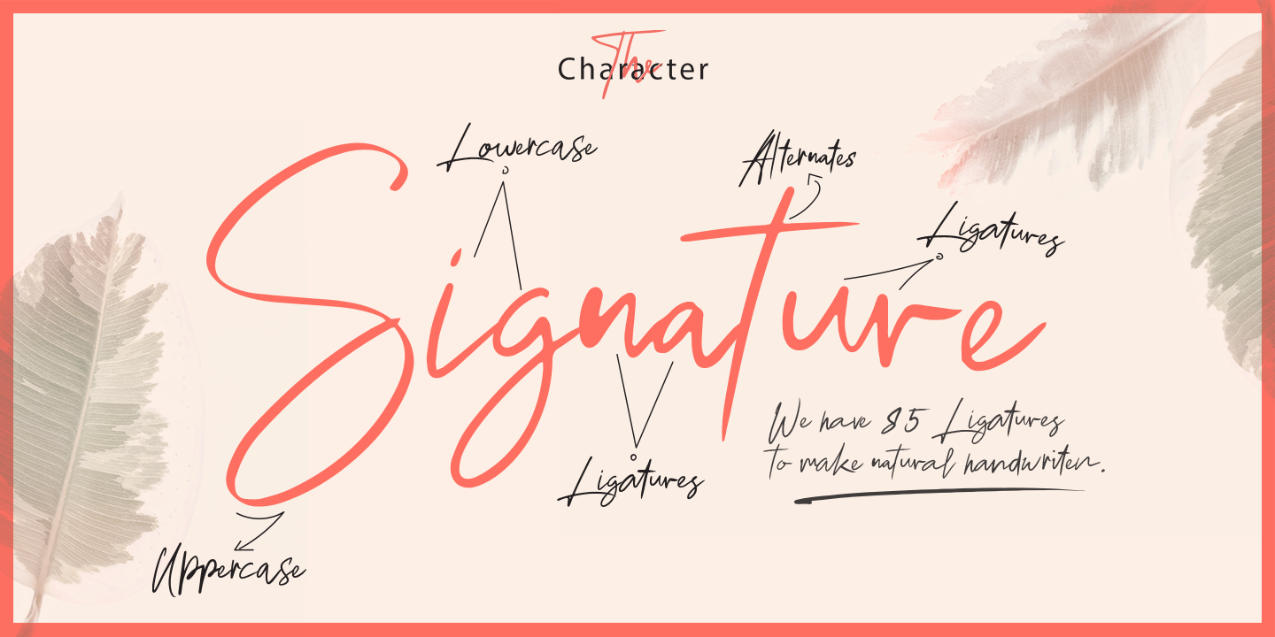 Chelsea Queen Swashsign czcionka | Czcionki.pro