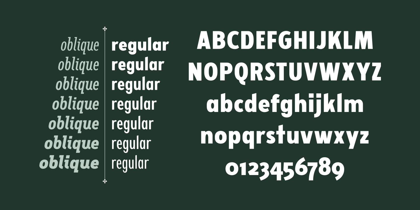 Fellbaum Grotesk Light czcionka | Czcionki.pro